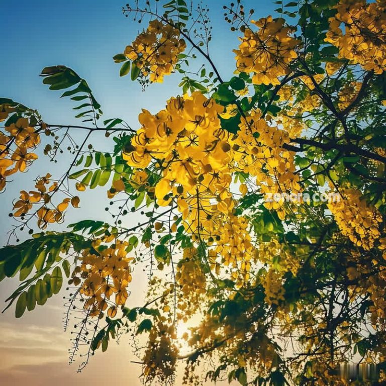 Vishu: A Festival of Light, Renewal, and Divine Prosperity in Kerala ...